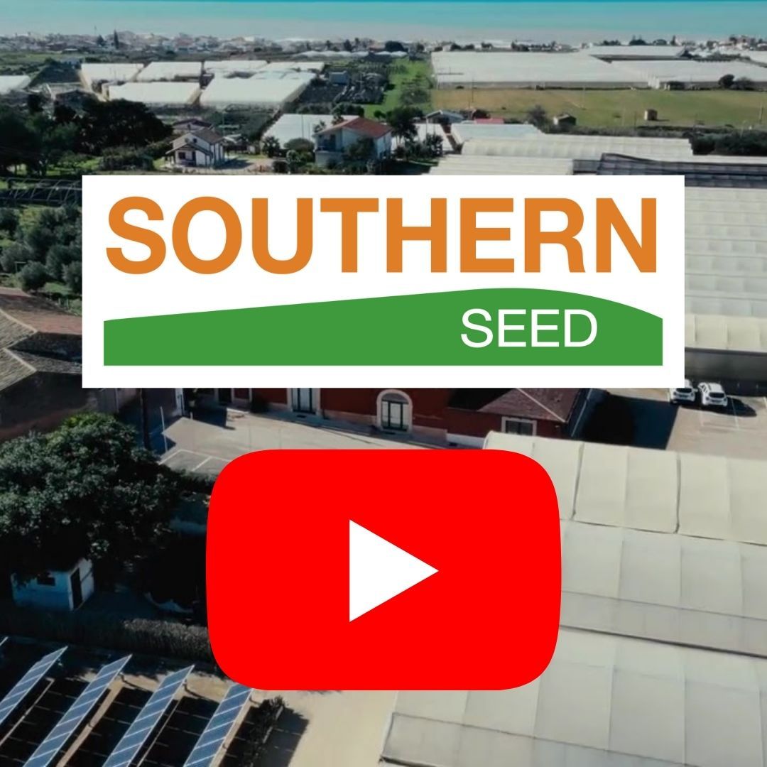 Southernseed.it – Il tuo successo è la nostra passione